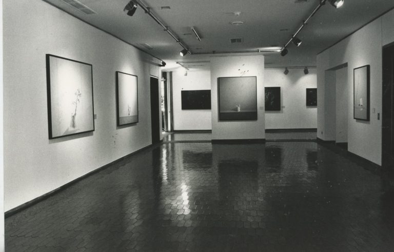 Alberto Cavalieri 2009 - Galería Freites