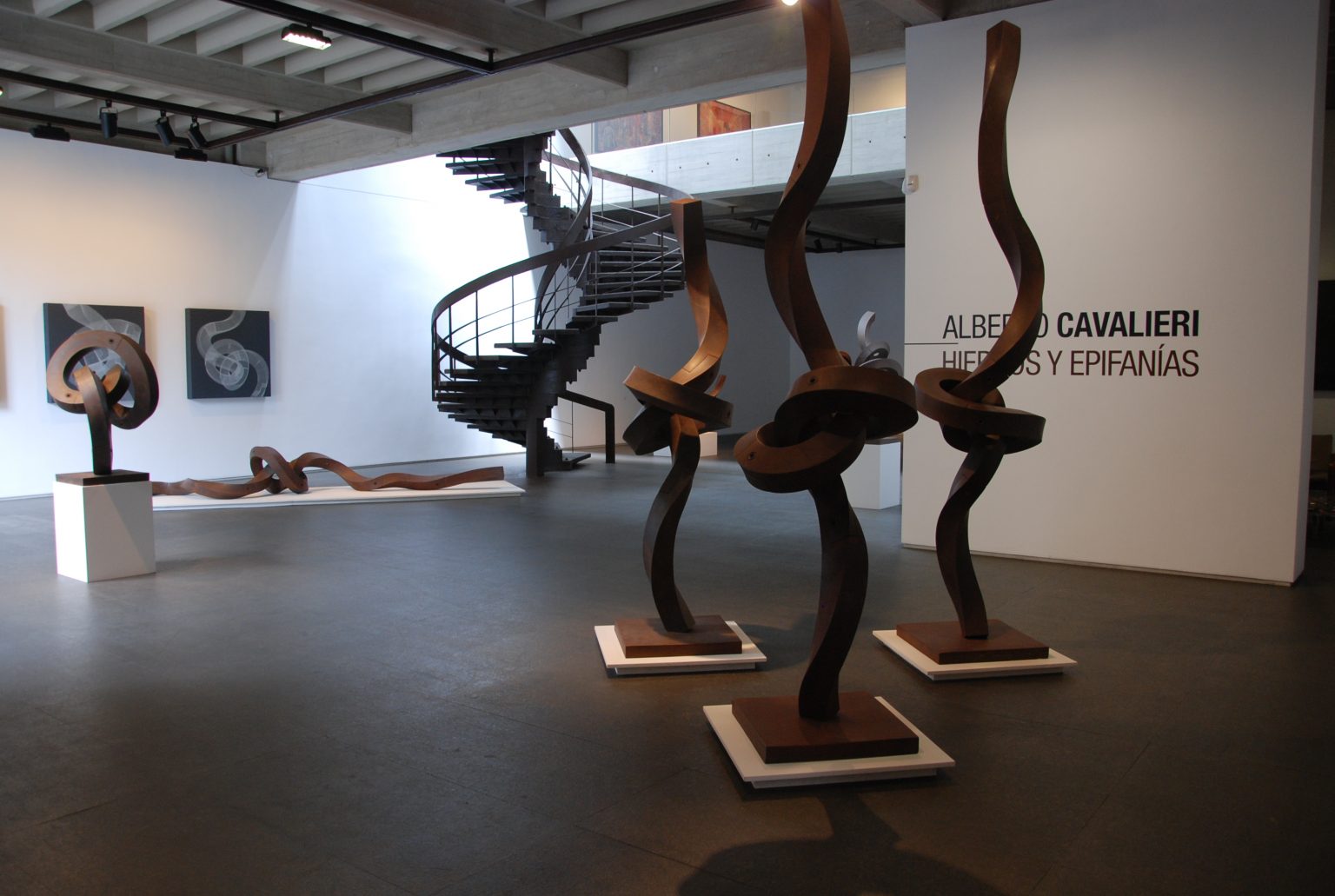 Alberto Cavalieri 2009 - Galería Freites